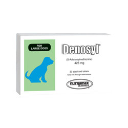 Endocrine | The Pet Pharmacist