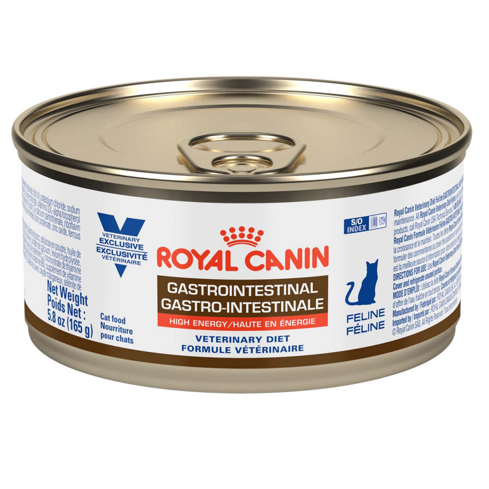 RC Diet Feline GI High Energy Can 24x85g | The Pet Pharmacist