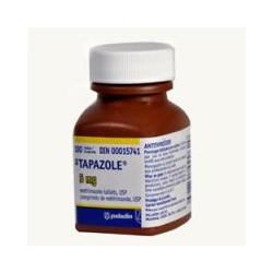 Endocrine | The Pet Pharmacist